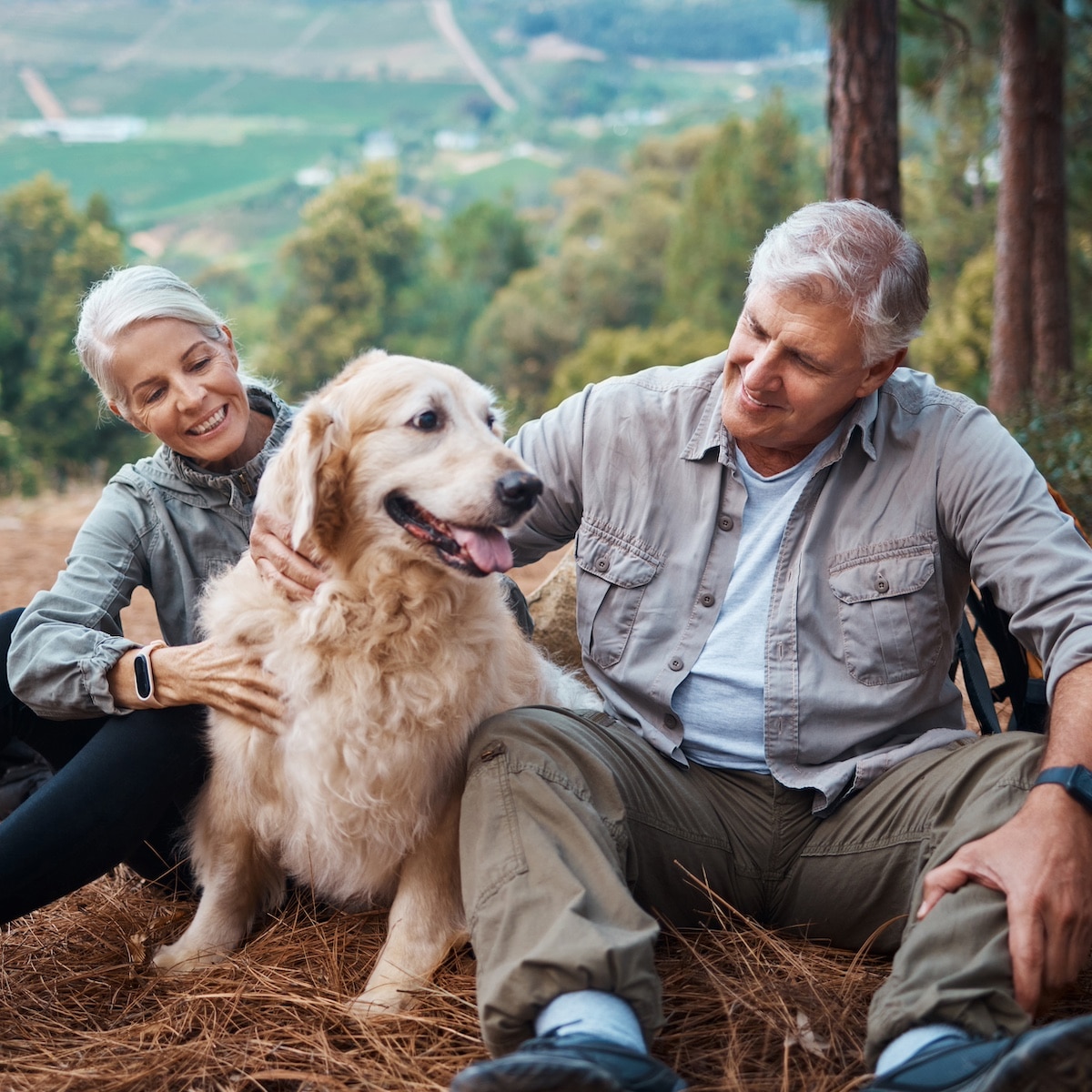 Is Durango a Good Place to Retire in 2025? Discover Why it's One of the ...